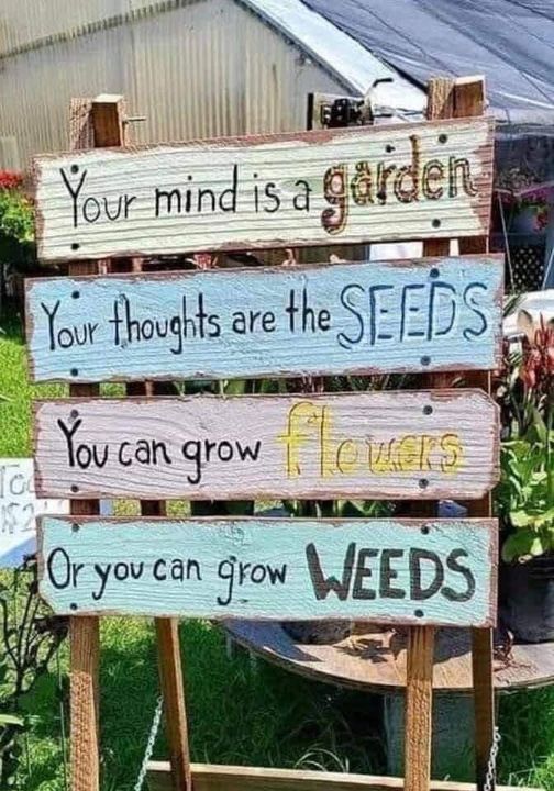 Negative Self-Talk, or How To Grow Weeds | living the transformed life